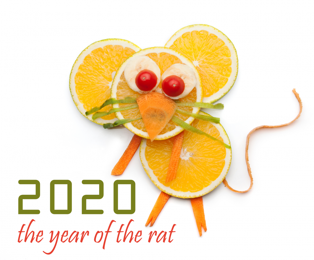 HEALTHY 2020 We Are One World
